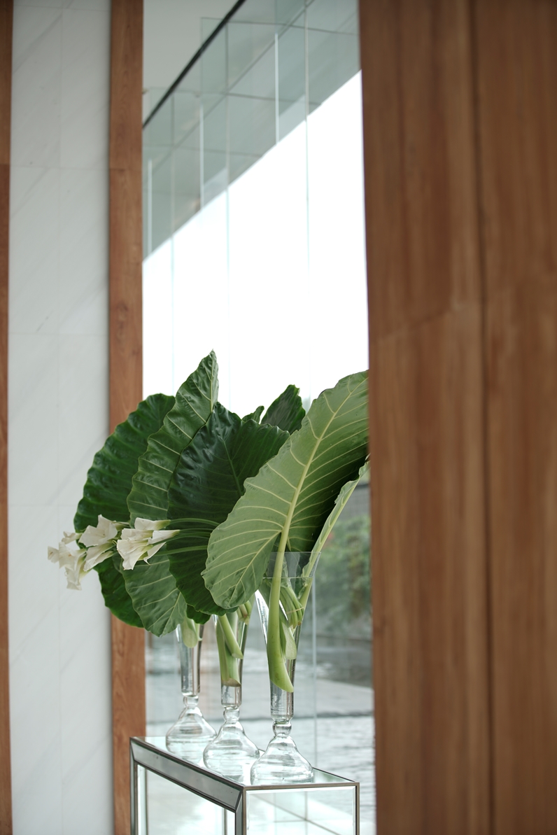 AD Premier – The Ballroom